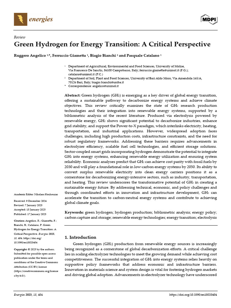 Green Hydrogen For Energy Transition A Critical Pe | PDF | Hydrogen ...