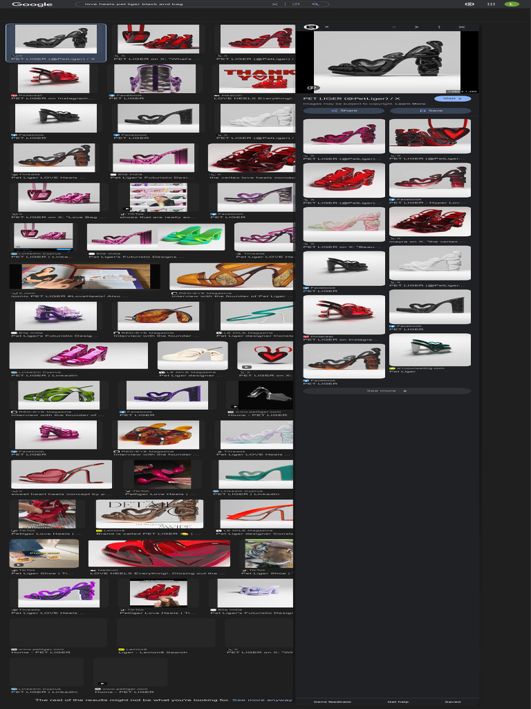 Love Heels Pet Liger Black and Bag - Google Search | PDF | Social Networking Service