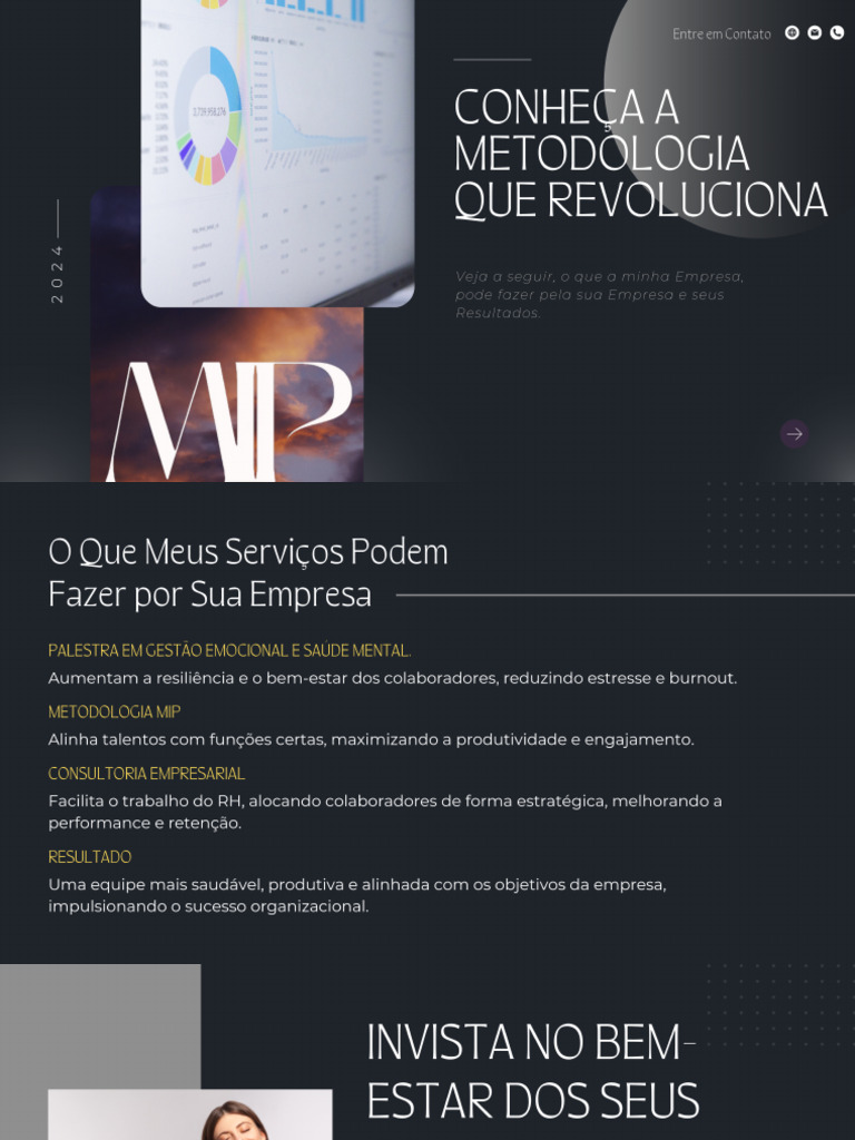 Portfolio MIP Empresas | PDF