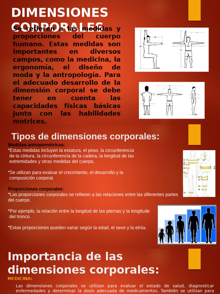 Dimensiones Corporales y su Importancia | PDF