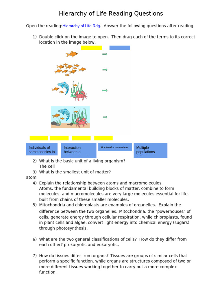 Hierarchy of Life Reading Questions | PDF