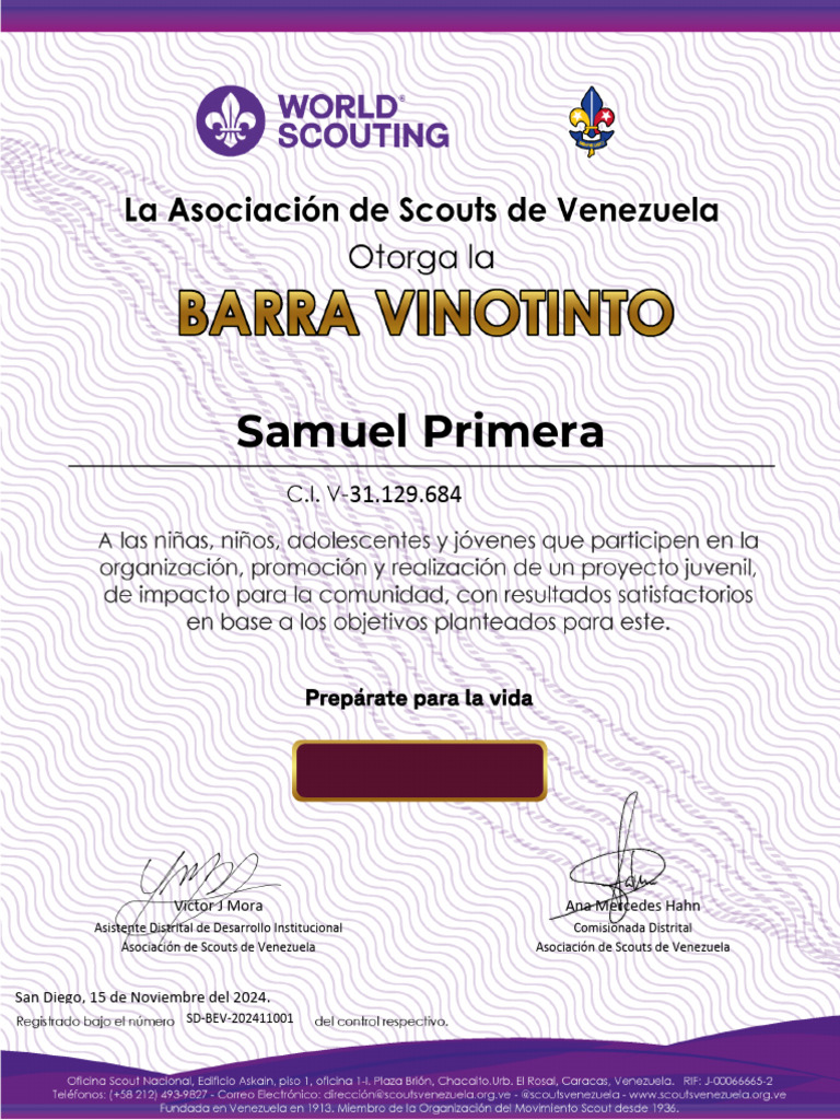 SD Bev 202411001 | PDF