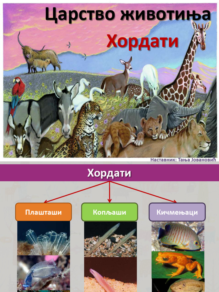 19 Hordati 160215025449 | PDF