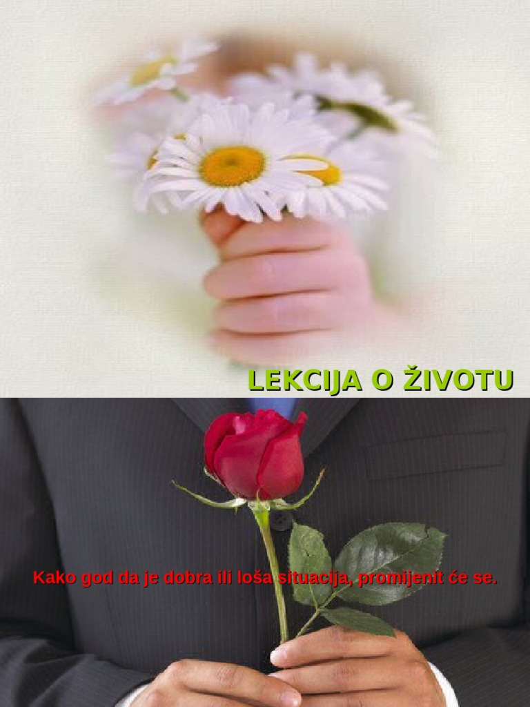Lekcija o Zivotu | PDF