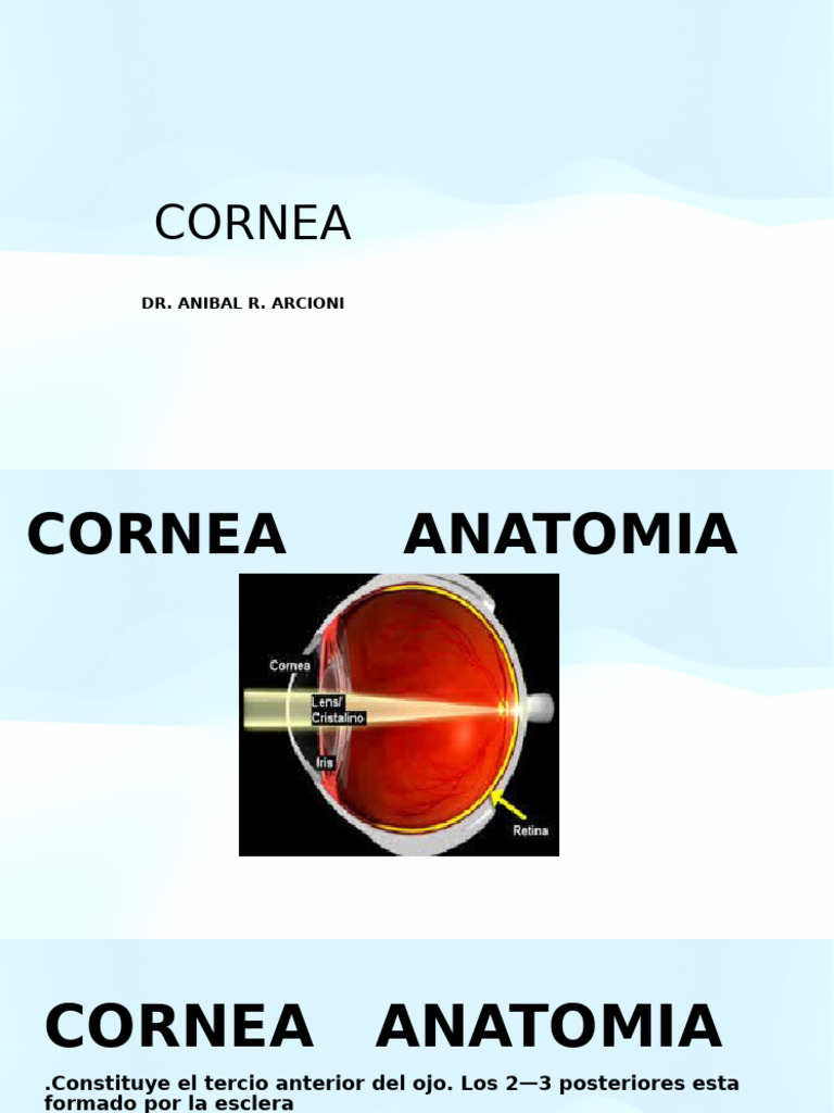 Cornea | PDF | Córnea | Ojo humano
