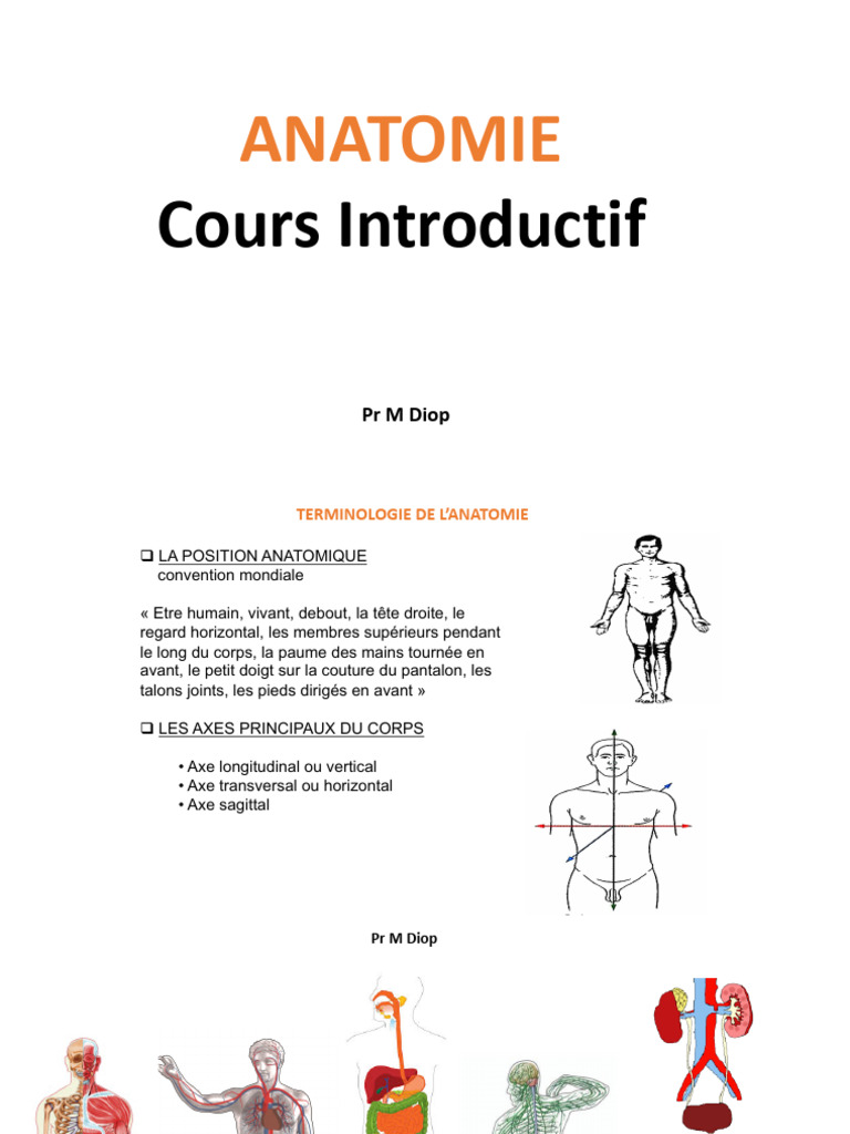Introduction Anatomie Generale | PDF