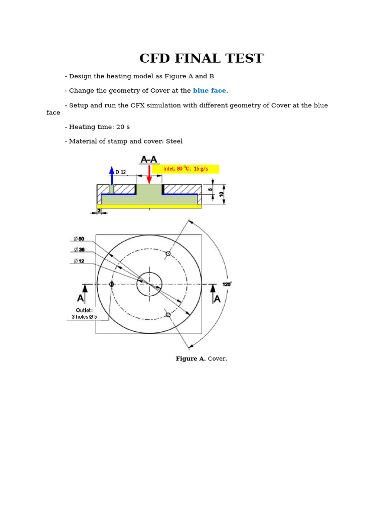 CFD Final Test: Blue Face | PDF