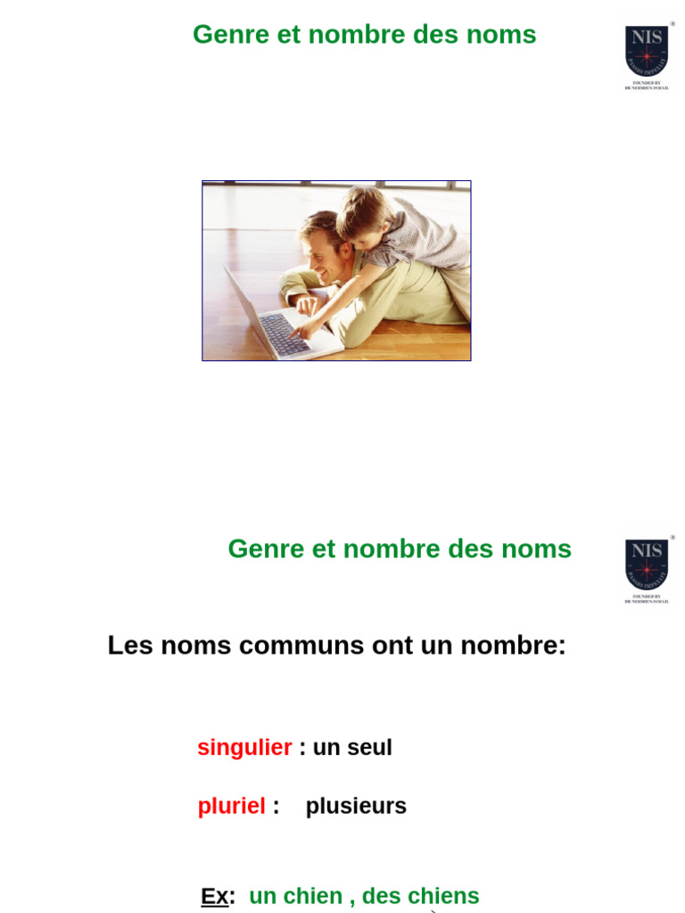 Genre Et Nombre Des Noms | PDF