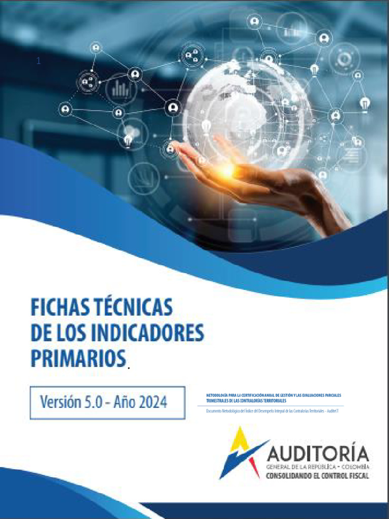 Fichas e Instructivo Indicadores f - Versión 5.0 - 2024 | PDF | Datos | Presupuesto