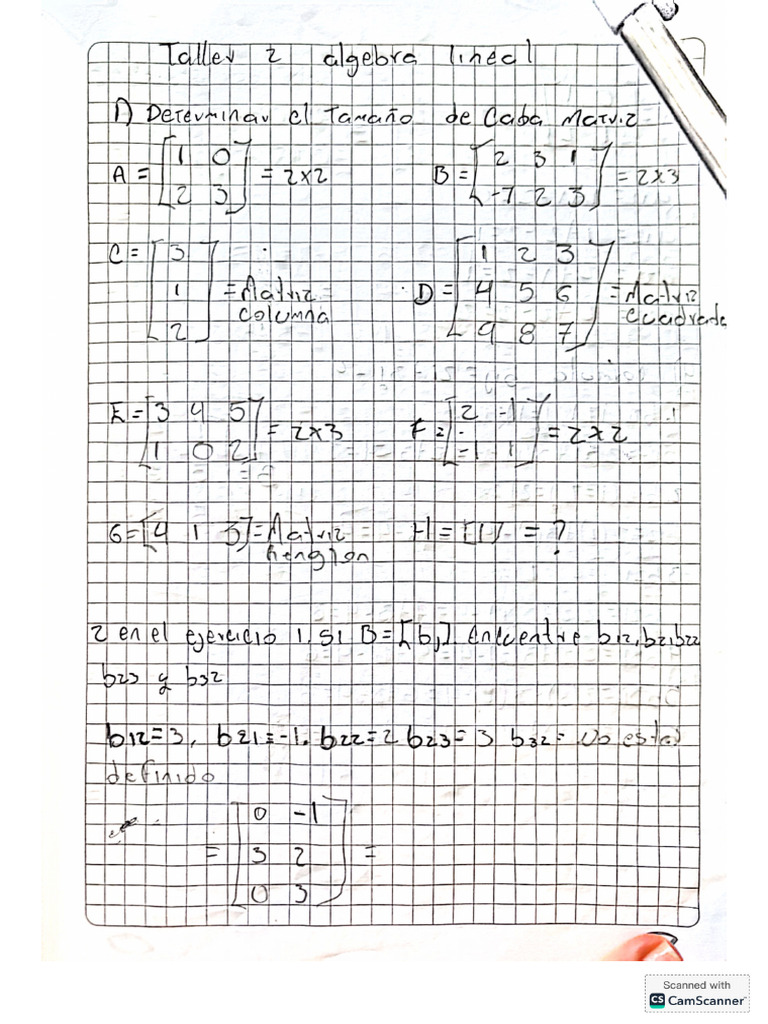 Matrices Camilo Mojica | PDF