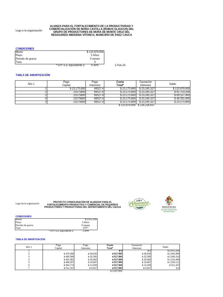 Plan de Recaudo General e Individual | PDF | Hoja de balance