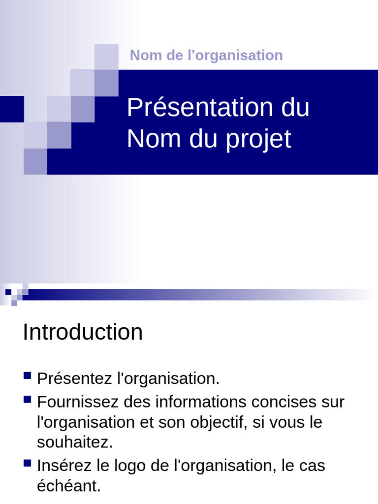 Plan de pr+®sentation d_un projet | PDF