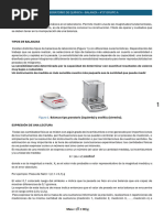 Prueba de Excentricidad en Balanzas | PDF | Química | Ciencias fisicas
