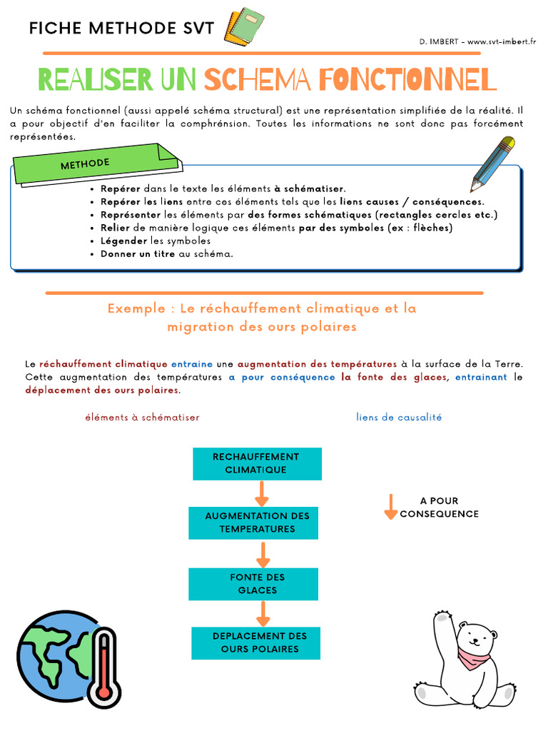 FM SVT Schema Fonctionnel | PDF