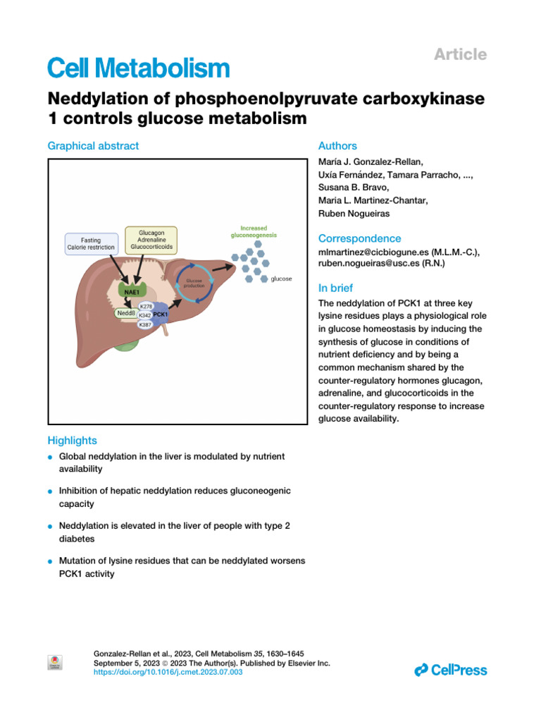 Neddylation of PCK1 Regulates Glucose Metabolism | PDF | Metabolism ...