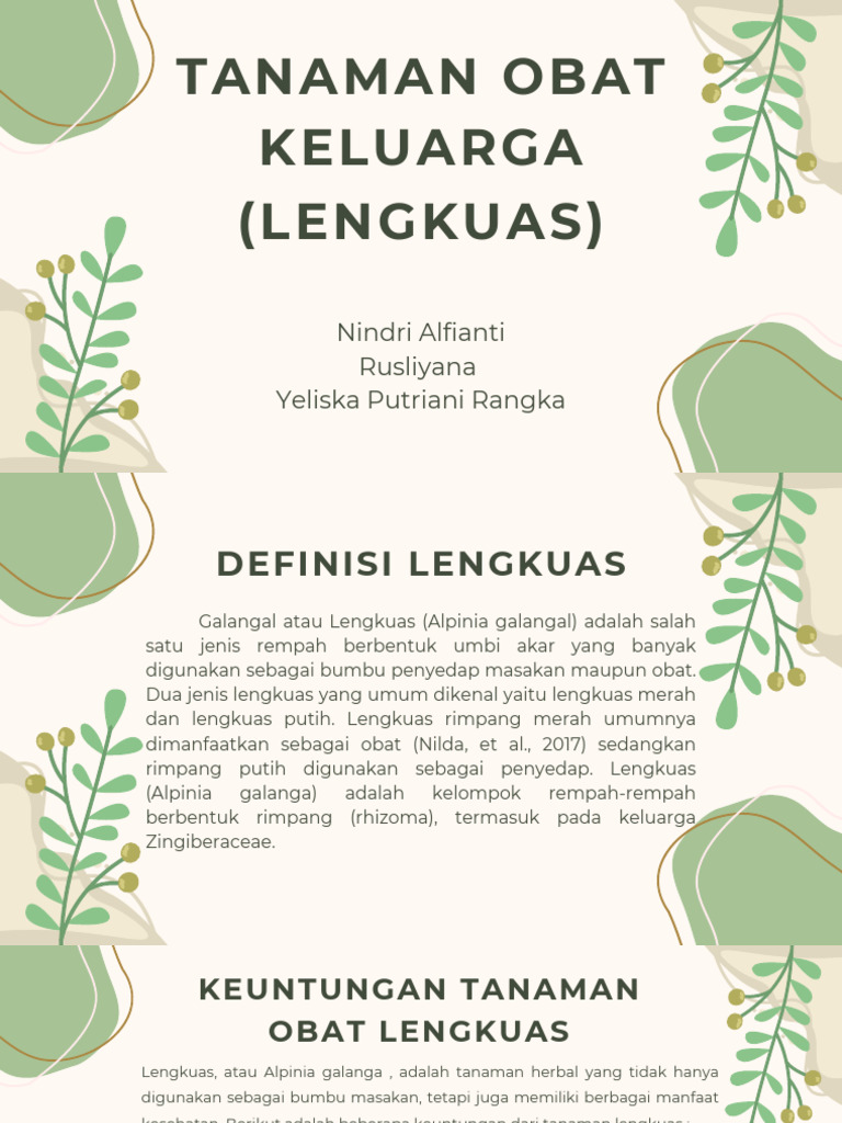 Kelompok Lengkuas | PDF