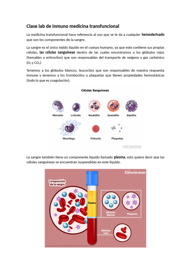 Clase Lab Inmuno Medicina Transfuncional | PDF | Sangre | Tipo de sangre