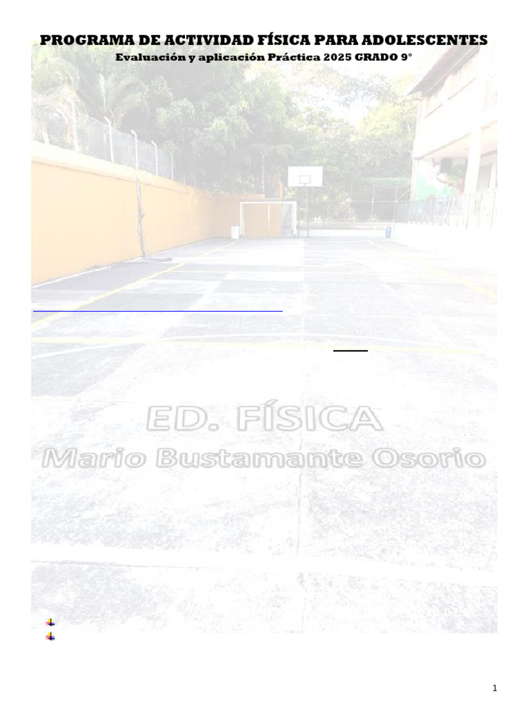 Programa de Actividad Física en La Adolescencia 9° - 2025 | PDF | Legumbres