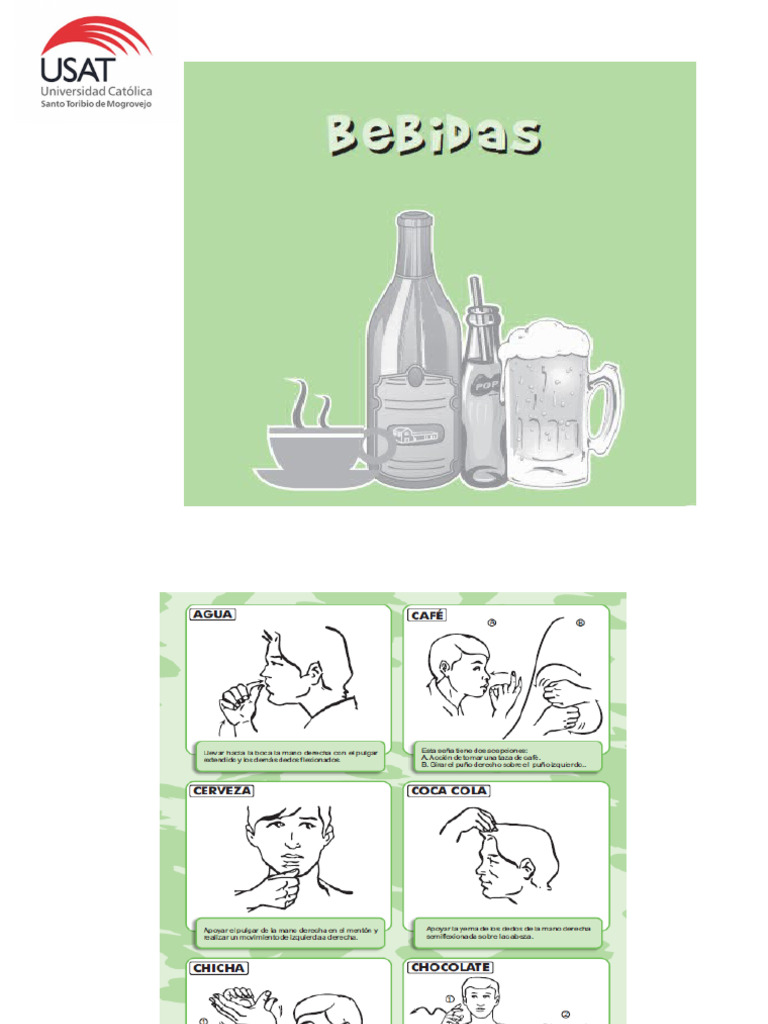 Bebidas | PDF