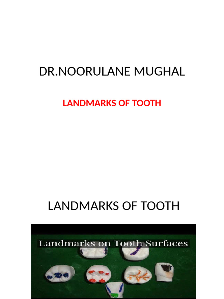 Anatomical Landmarks of Teeth | PDF | Dentistry | Dentistry Branches