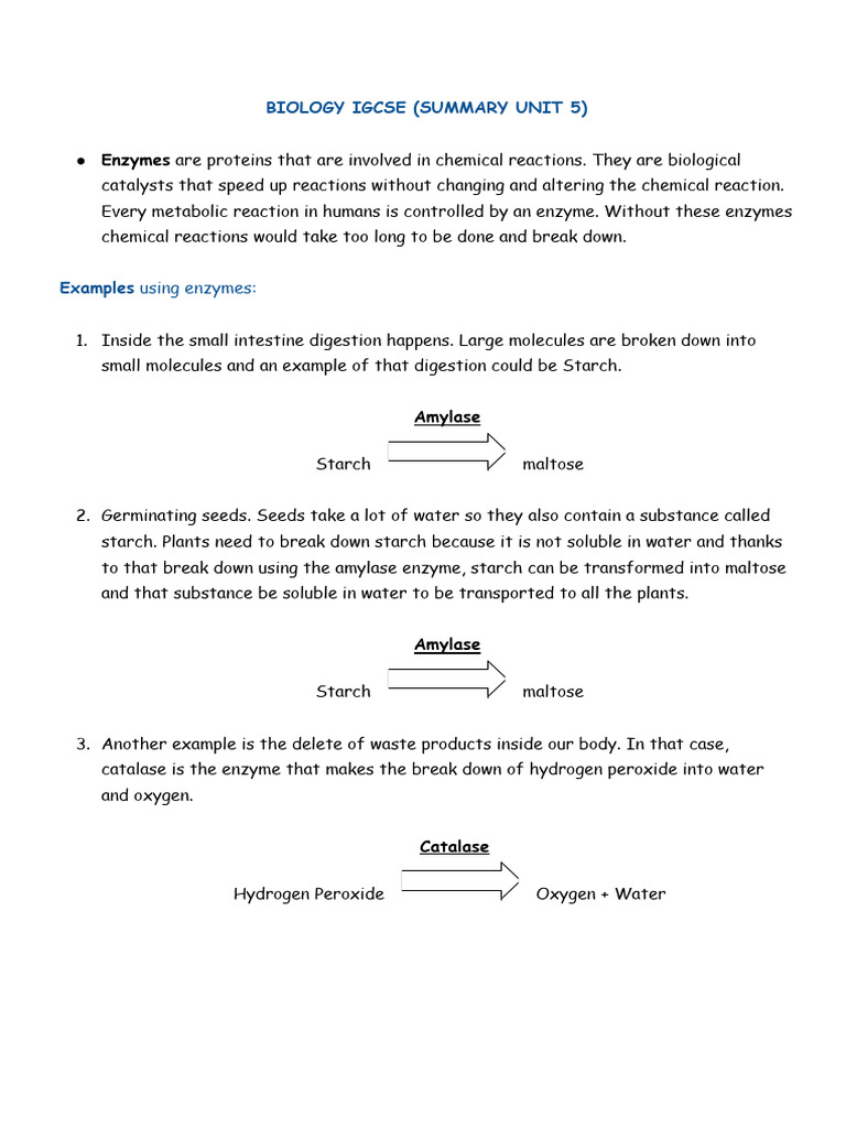 Biology Igcse (Summary Unit 5) | PDF