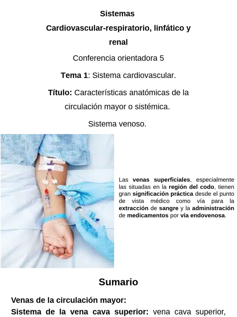 Anatomía del Sistema Venoso Superior | PDF | Vena | Aorta