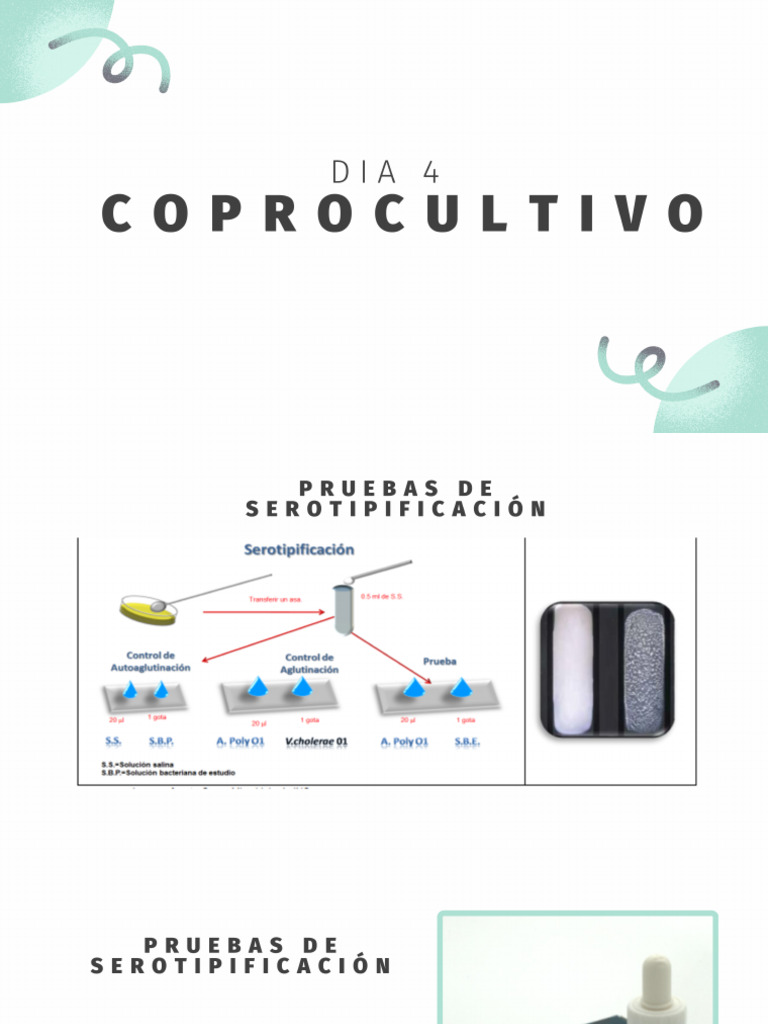 Presentación Diapositivas Propuesta de Proyecto Simple Sencilla Blanco ...