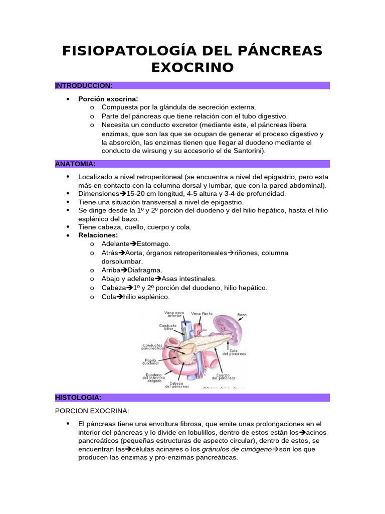 Fisiopatología del Páncreas Exocrino | PDF | Páncreas | Especialidades ...