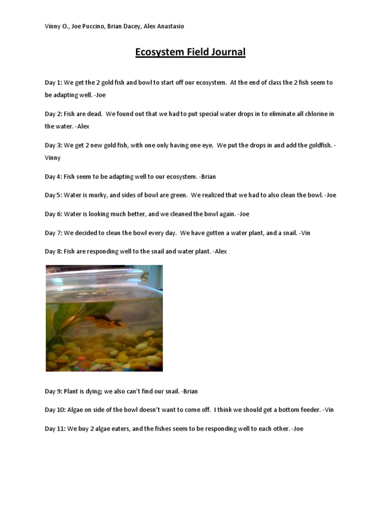 Ecosystem Field Journal | PDF | Home & Garden