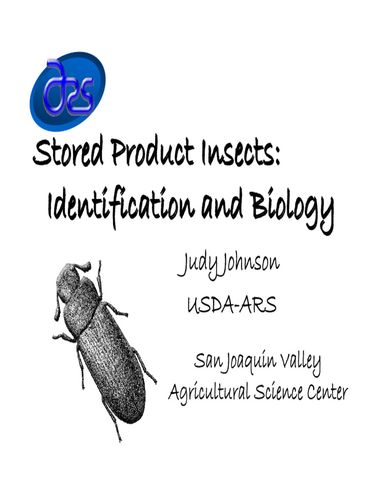 Pest Control Sydney Stored Product Insect Identification and Biology ...