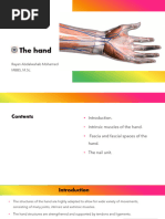 Thenar and Hypothenar Muscle Anatomy | PDF | Thumb | Hand