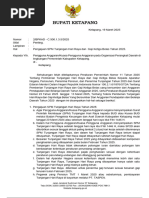 Buku Petunjuk Pemberkasan Srikandi | PDF