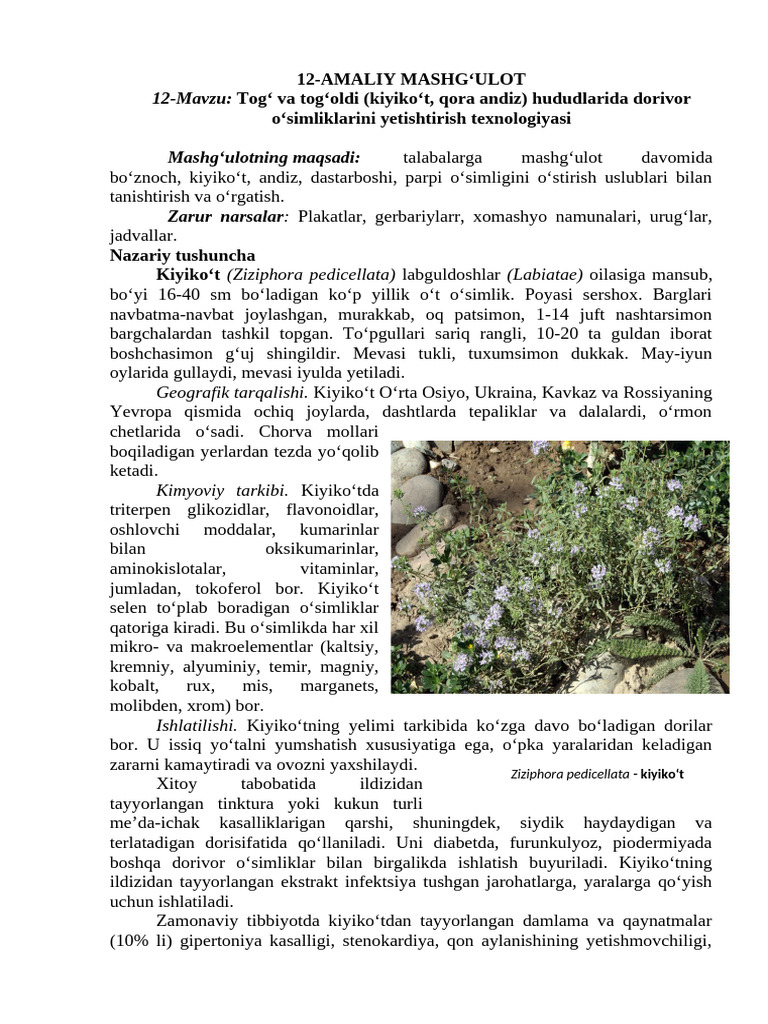 12-Mavzu Tog Va Tog Oldi (Kiyiko T, Qora Andiz) | PDF