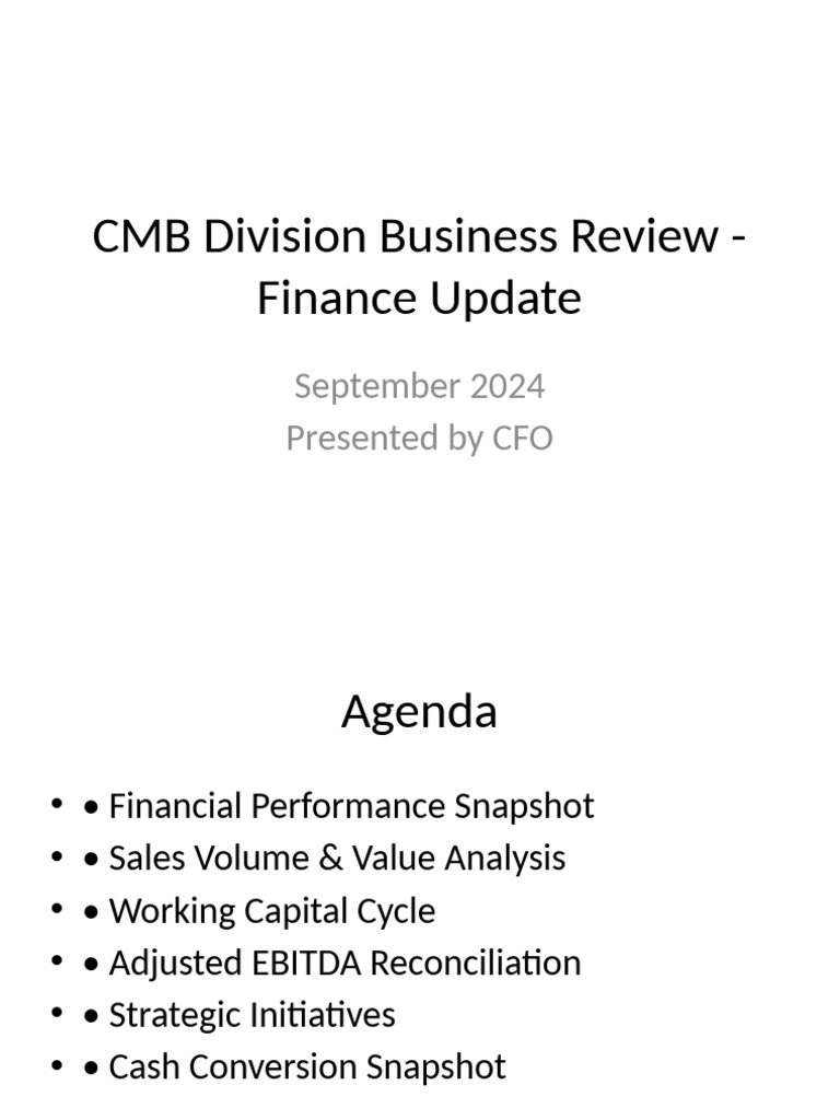CFO Business Review Template v2 | PDF