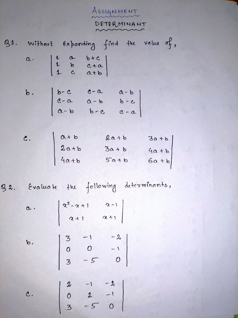 Assignment Determinant | PDF