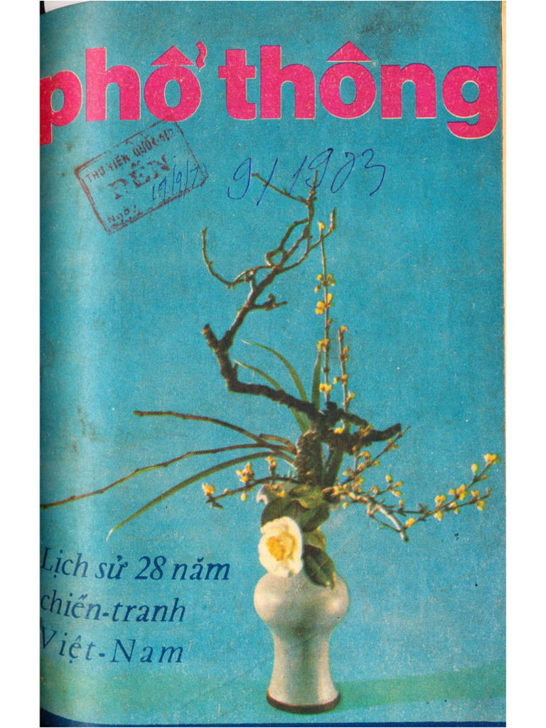 Vai Net Lich Su Cua 28 Nam | PDF