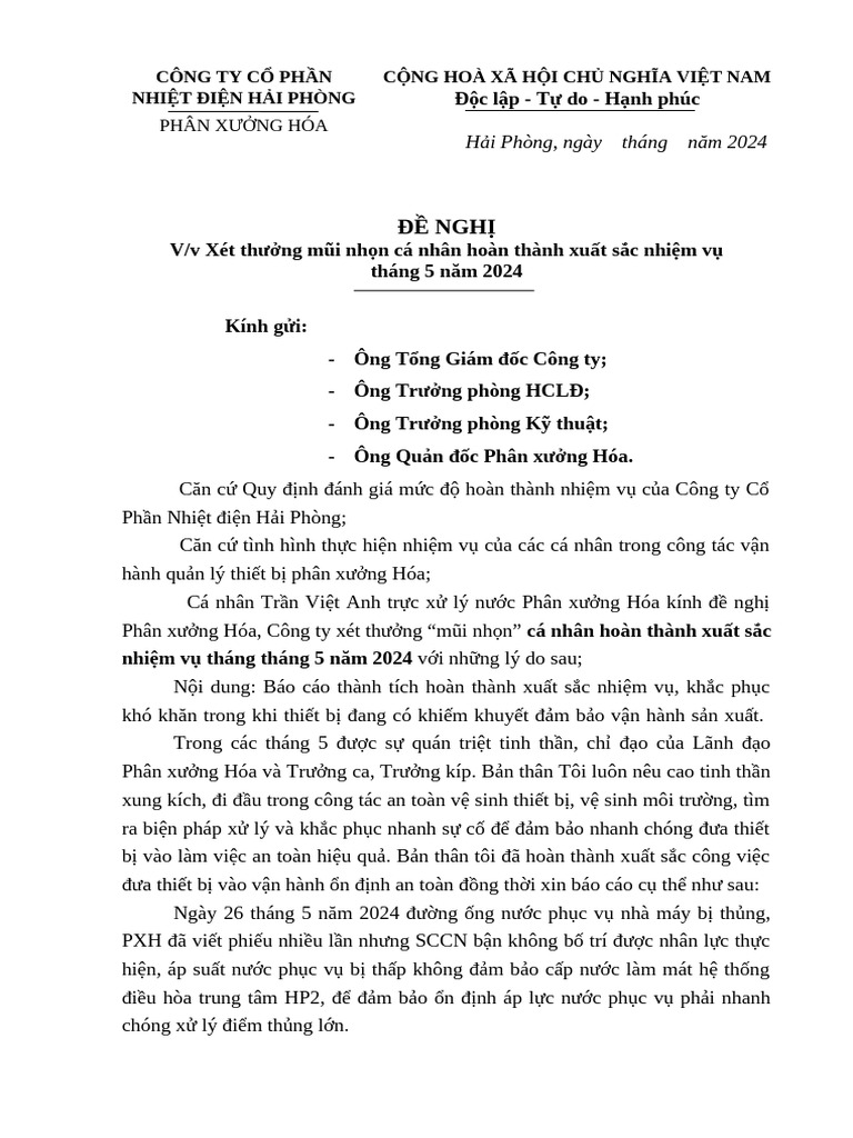 Bao Cao Thanh Tich Tran Viet Anh 2 | PDF