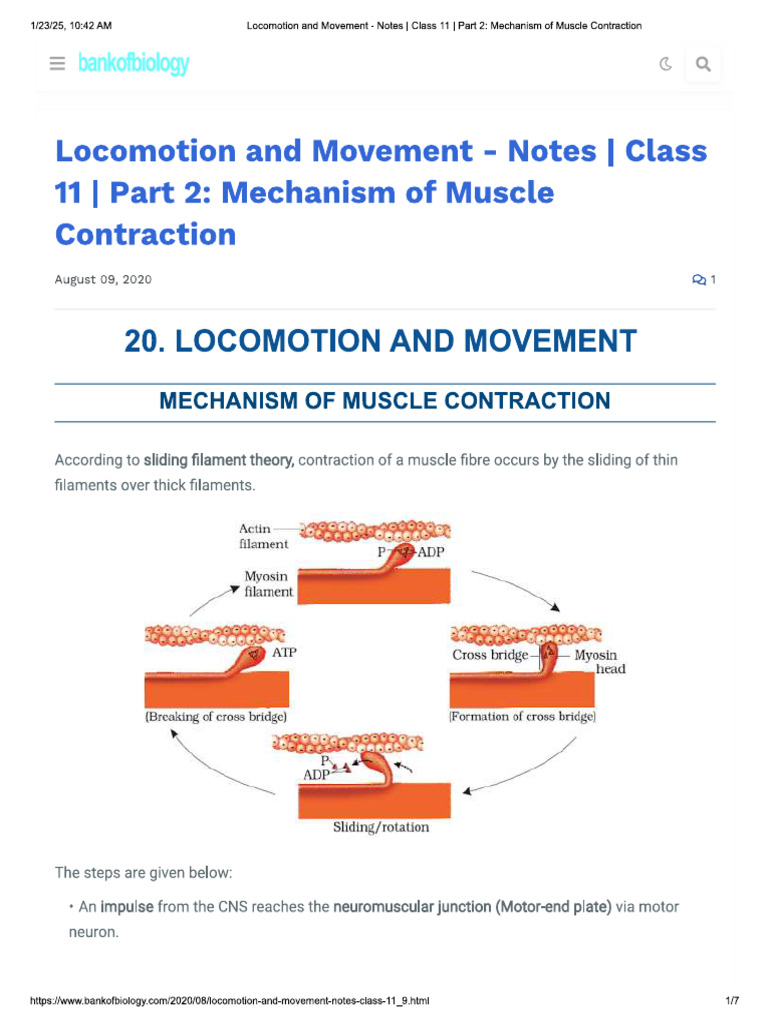 Locomotion | PDF