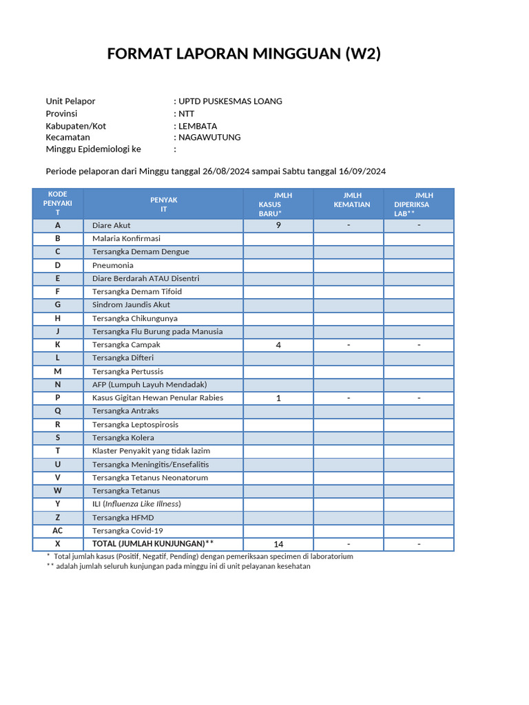 FORMAT LAPORAN MINGGUAN AGUSTUS | PDF