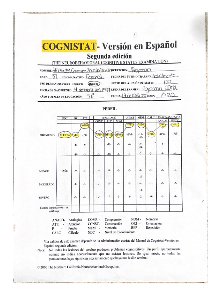 Aplicación COGNISTAT - Versión en Español | PDF
