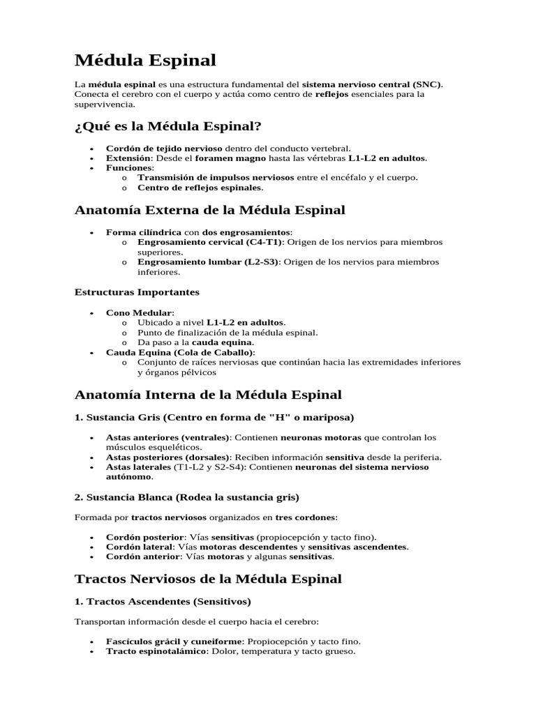 Médula Espinal Resumen | PDF | Médula espinal | Materia gris