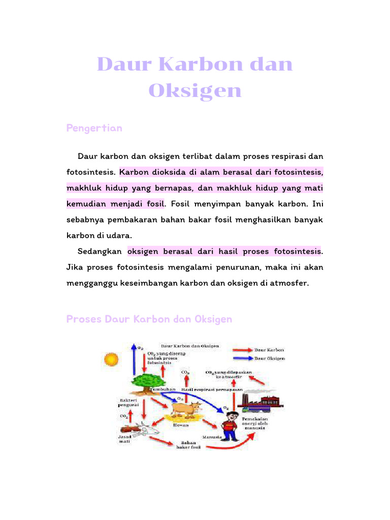 Daur Karbon dan Oksigen | PDF
