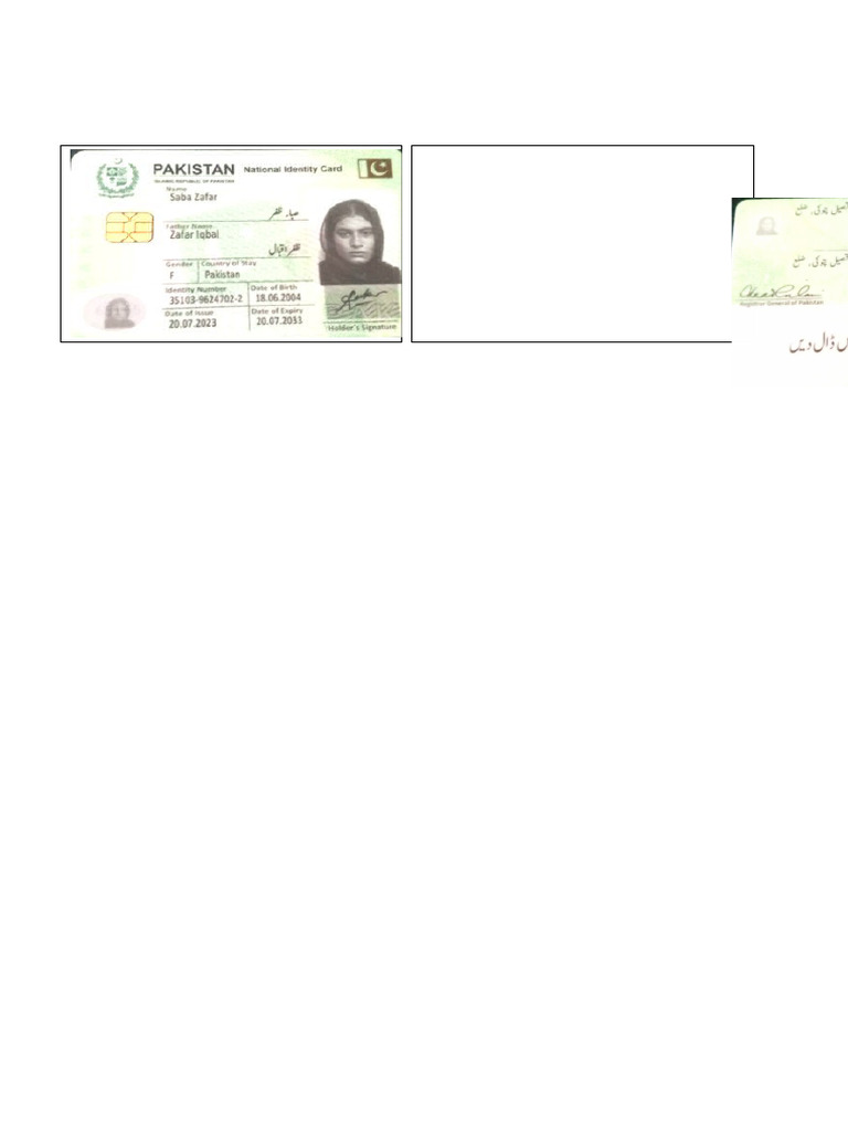 Id Card | PDF