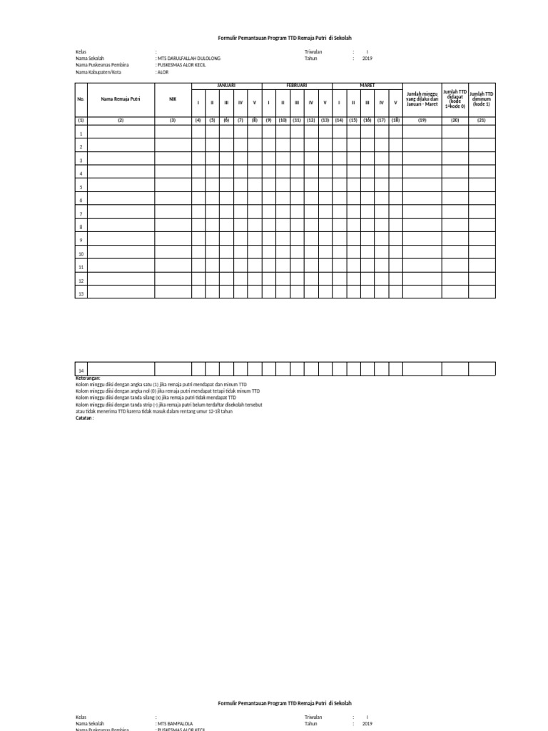 Pemantauan TTD Remaja Putri Sekolah | PDF