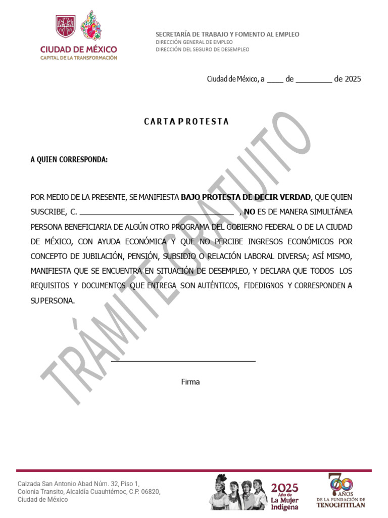 Carta Bajo Protesta de Decir La Verdad 2025 | PDF