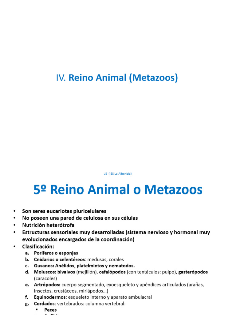 IV Metazoos Js | PDF | Moluscos | Nematodo