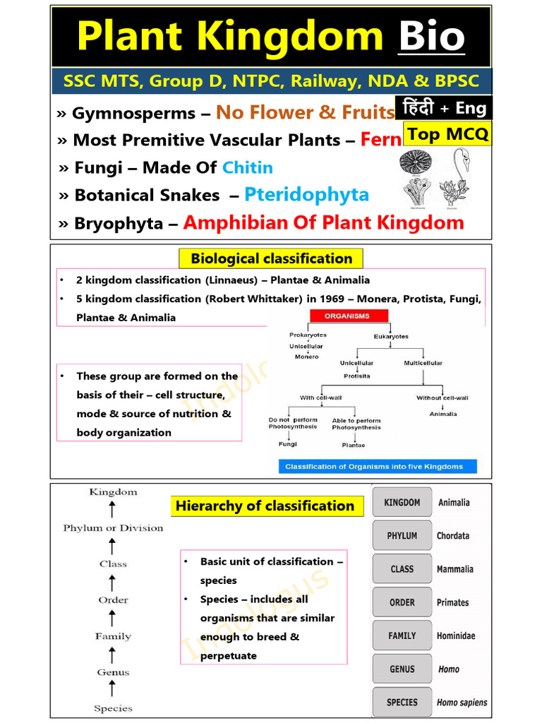 PLANT KINGDOM (THEORY + MCQS) | PDF | Seed | Plants
