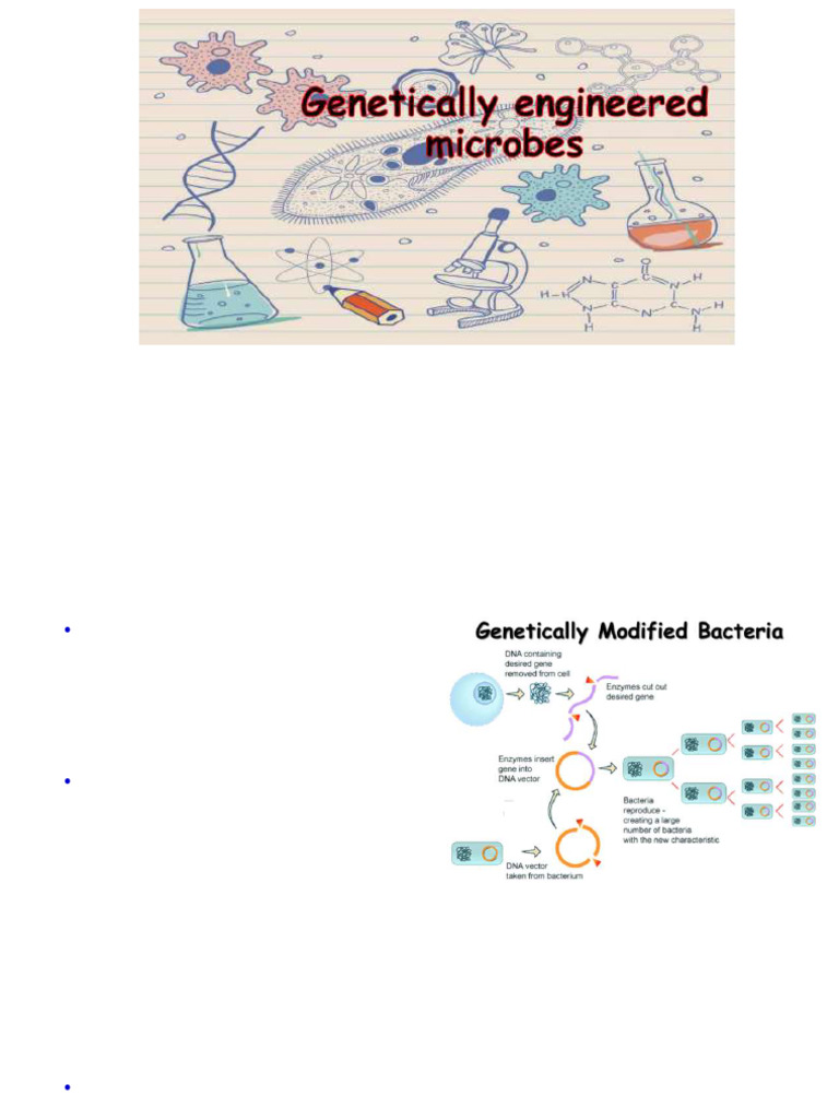 Genetically Modified Microorganisms Overview | PDF | Genetic ...