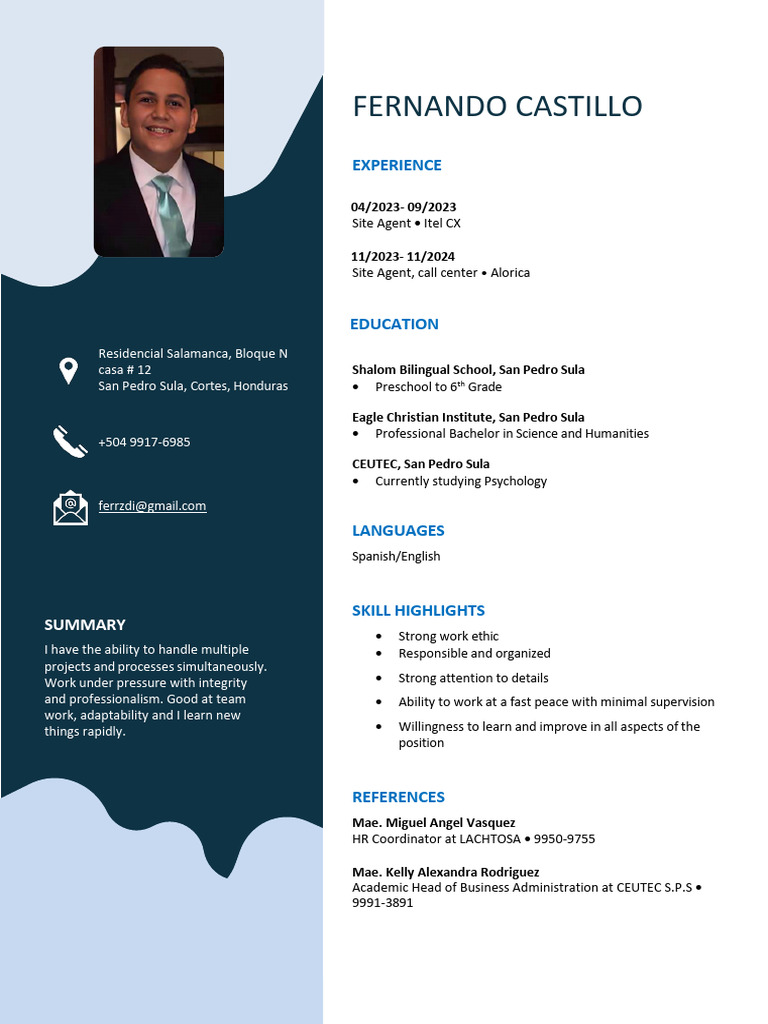 CV Fernando Castillo - en | PDF