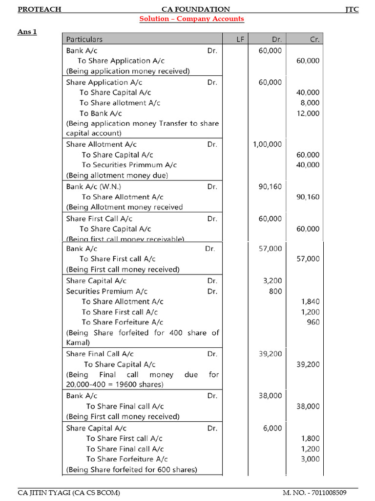 Sol - Company Accounts | PDF